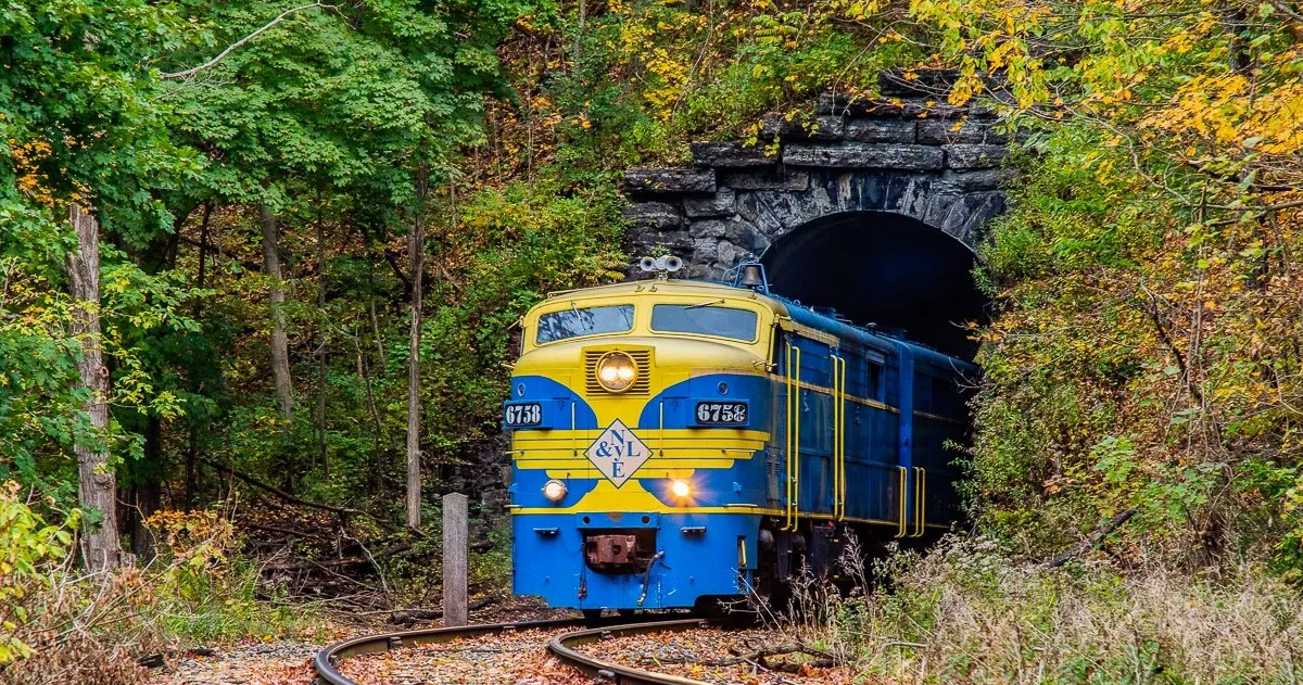Fall Foliage Train Ride | New York & Lake Erie Railroad